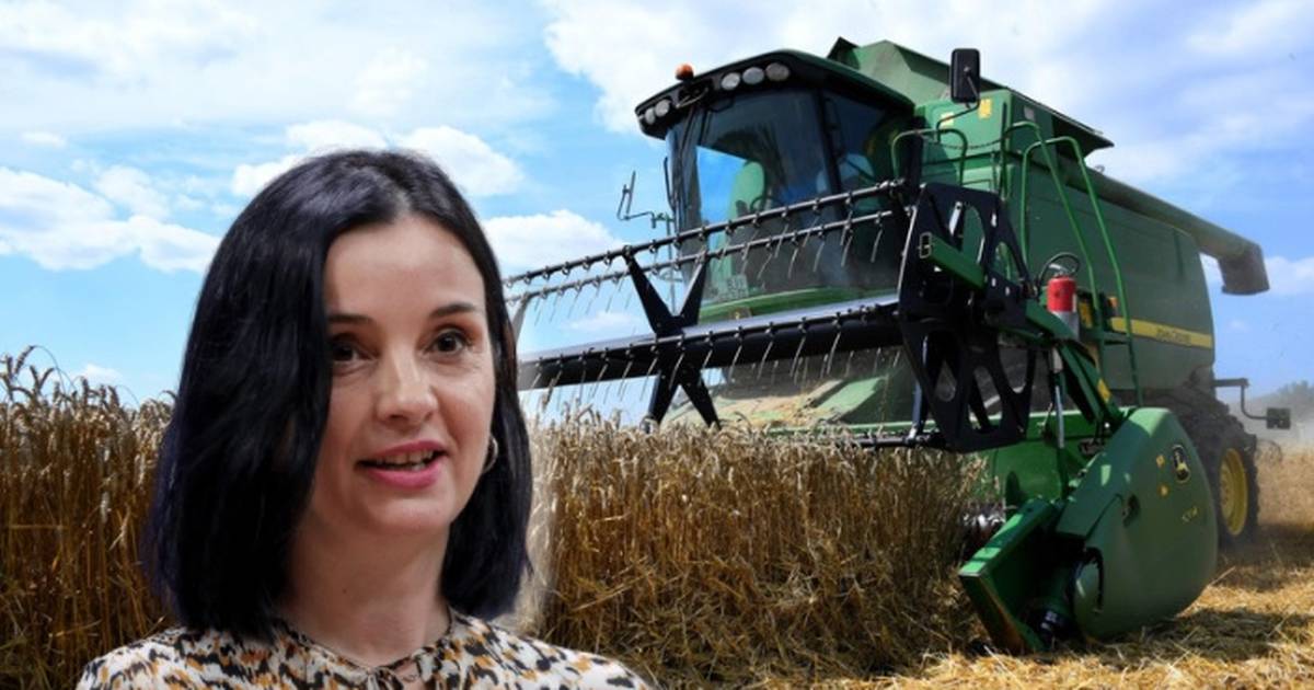 Ministrica Vučković u Sisku je danas uručila nove ugovore vrijedne 2,4 ...