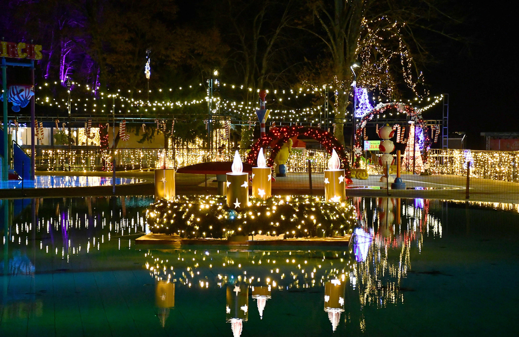 FOTO 'Ninina čarobna shhhuma' u Velikoj dočarala je adventski sajam kao ...