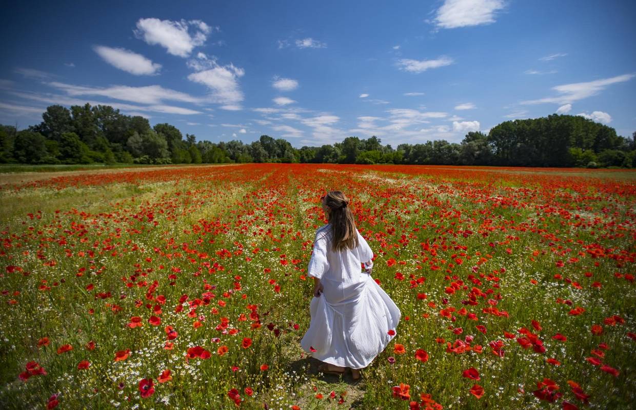 Otok u srcu Podravine, dugo skrivana tajna Virovitičko-podravske ...