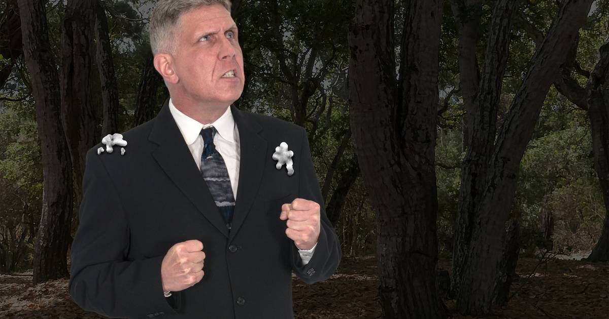 Što znači kad nas ptica pokaka? | 24sata