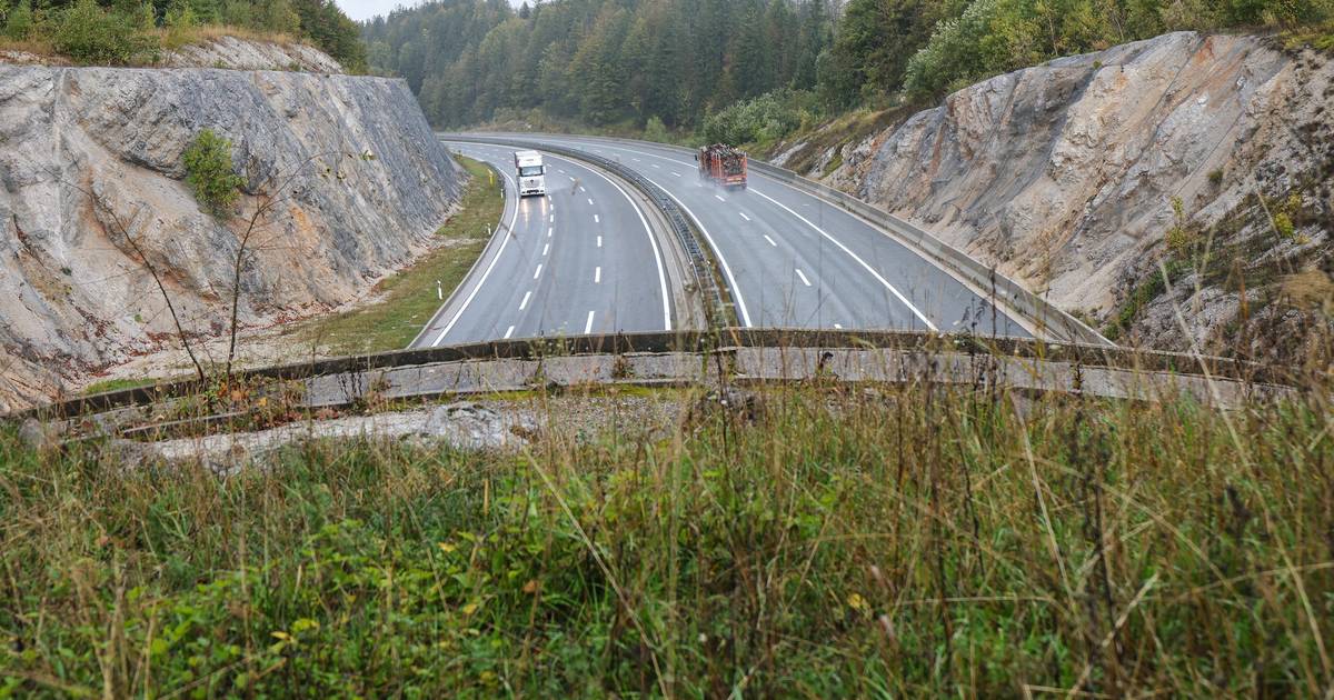 VIDEO Zeleni most za životinje na autocesti Zagreb - Rijeka | 24sata