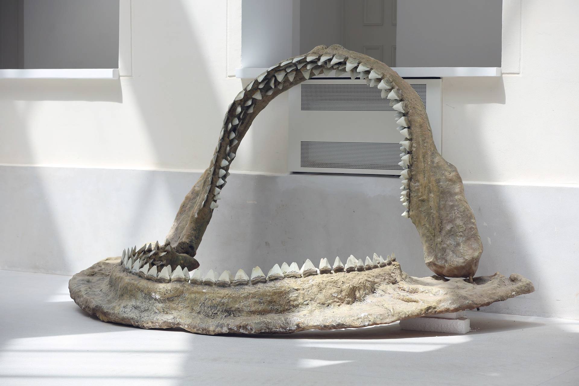 Najveće ralje u Hrvatskoj čuvaju prostore u kojima se nalazi divovska ...