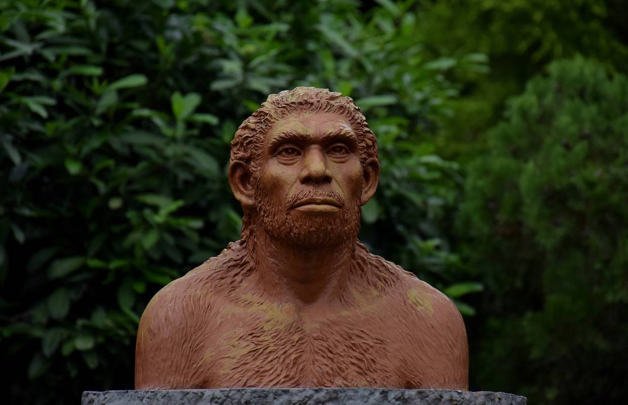 Izumiranje neandertalaca | 24sata