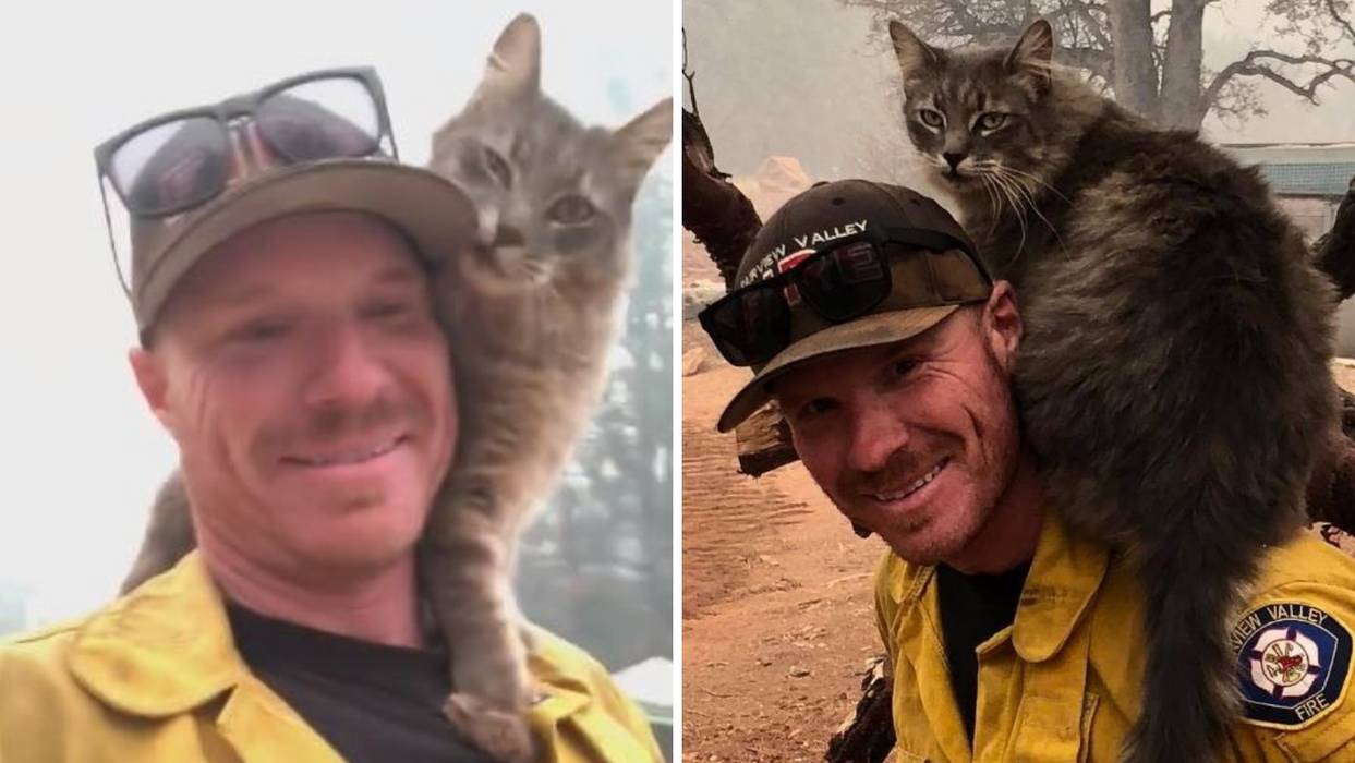 Spasio je iz požara: Mačka mu se popela na ramena i ne silazi | 24sata