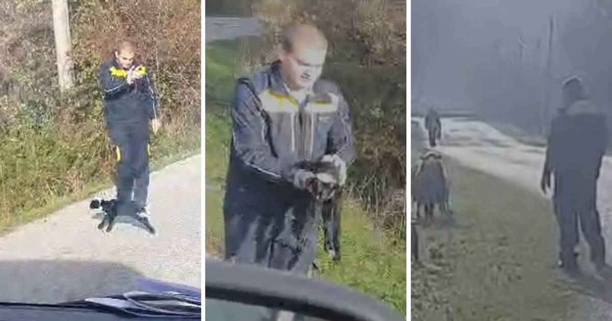 VIDEO Poštar iz jarka spasio malo janje: Ovčica se nije htjela maknuti ...