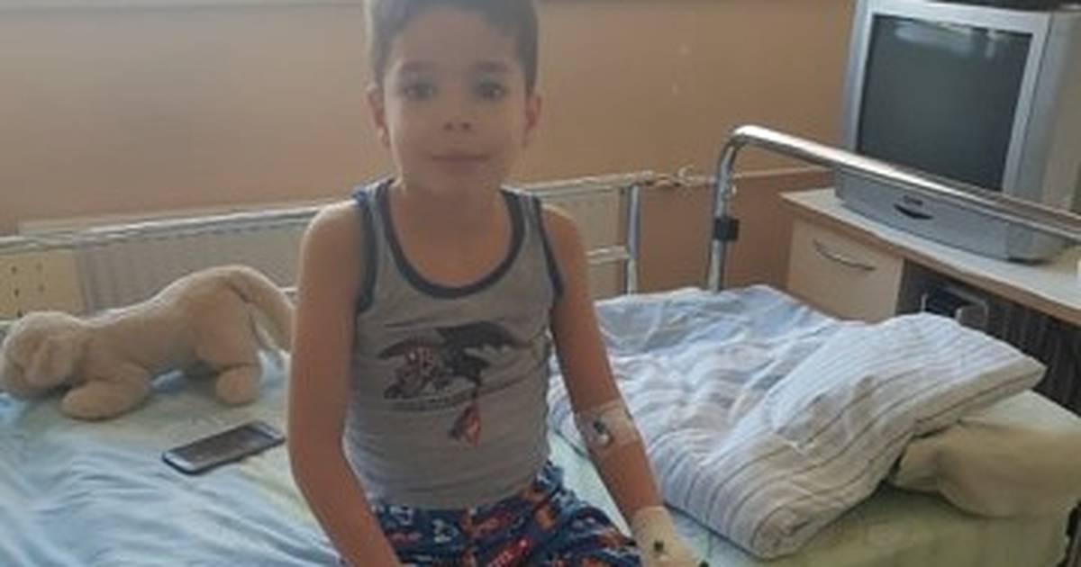 Novac koji su skupili za Milu ide Maku: Nadamo se najboljem | 24sata Novac koji su skupili za Milu ide Maku: Nadamo se najboljem | 24sata