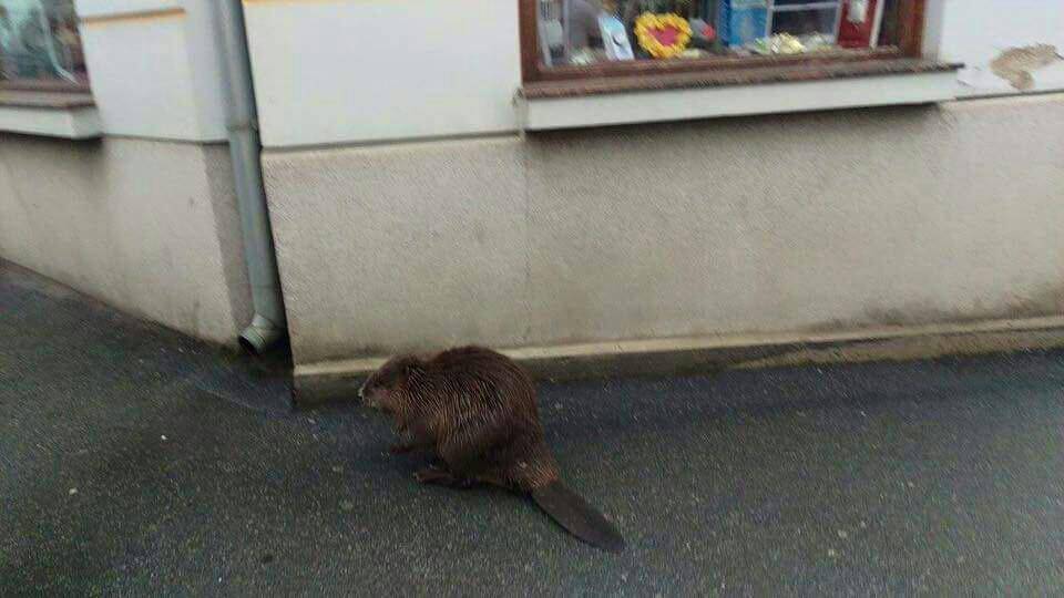 DABAR - najnovije objave | 24sata