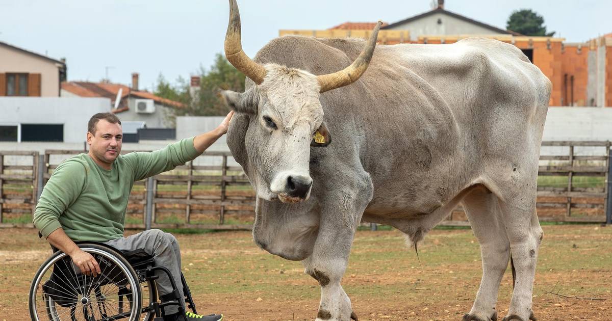 Pojedinac itekako može činiti društvo boljim i ljepšim za život | 24sata
