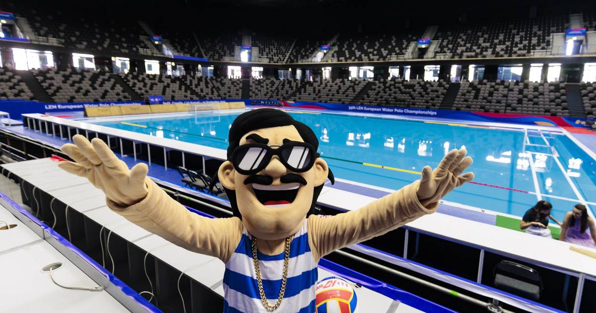 Maskota EP-a u vaterpolu u Splitu, dalmatinski galeb Roko | 24sata