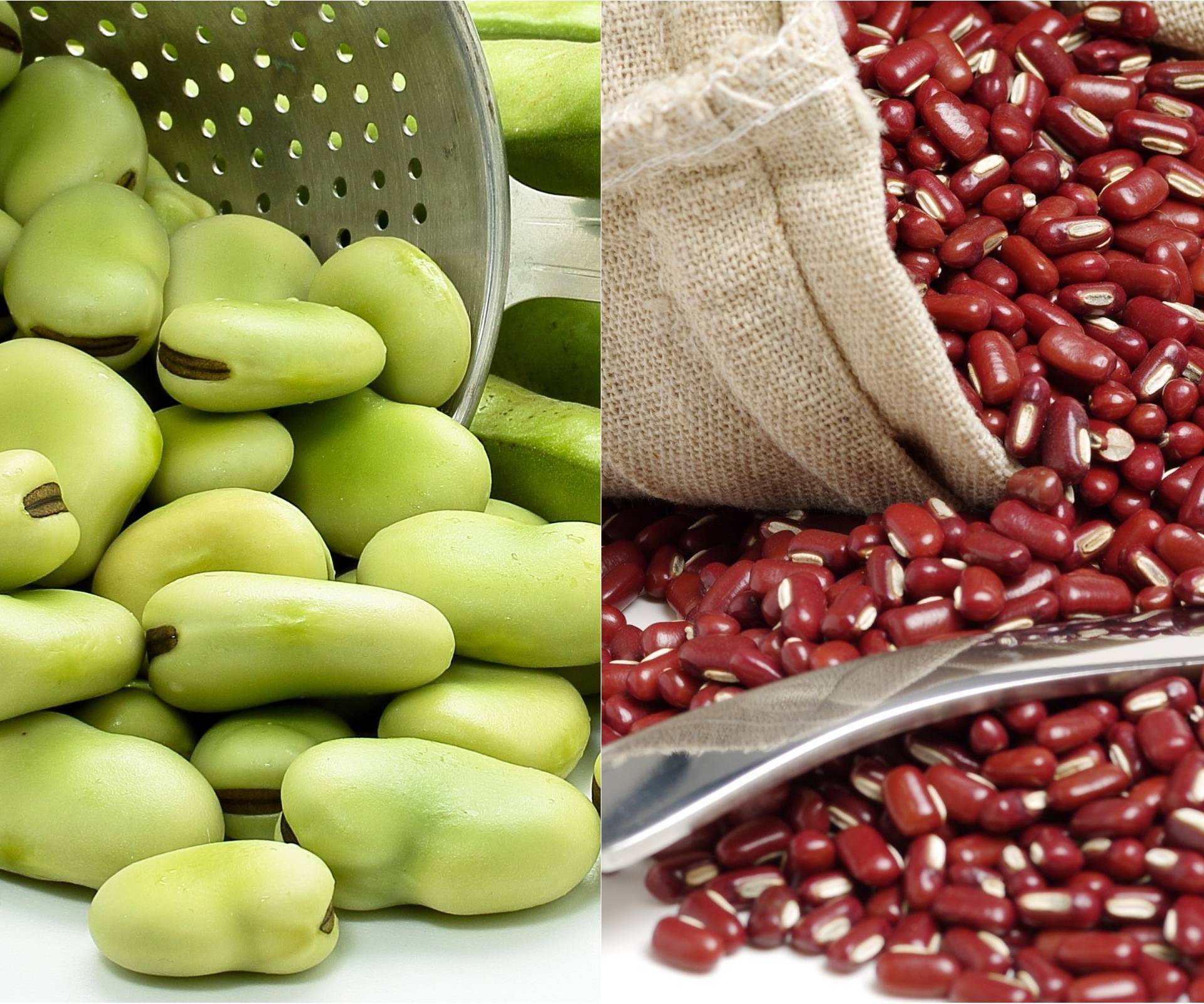 Bob je odličan protiv anemije, a azuki grah čisti tijelo od otrova | 24sata