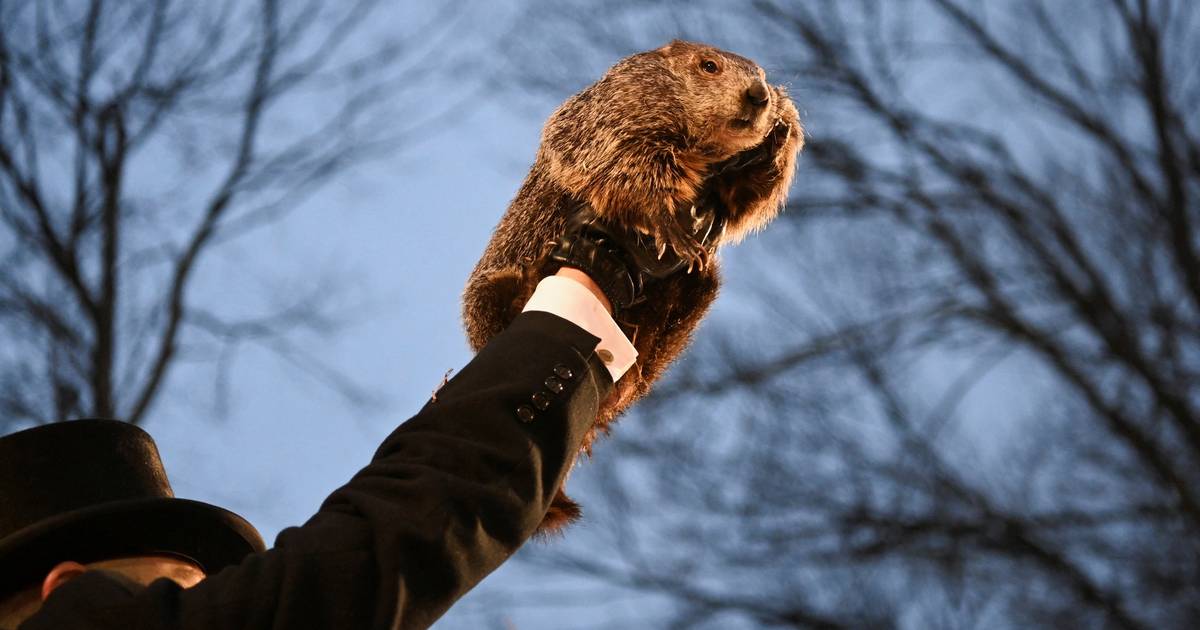 Svizac Phil je reko: Ove godine proljeće i topli dani stižu ranije ...