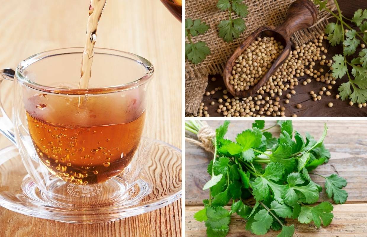 Korijander pomaže kod mršavljenja i nadutosti | 24sata