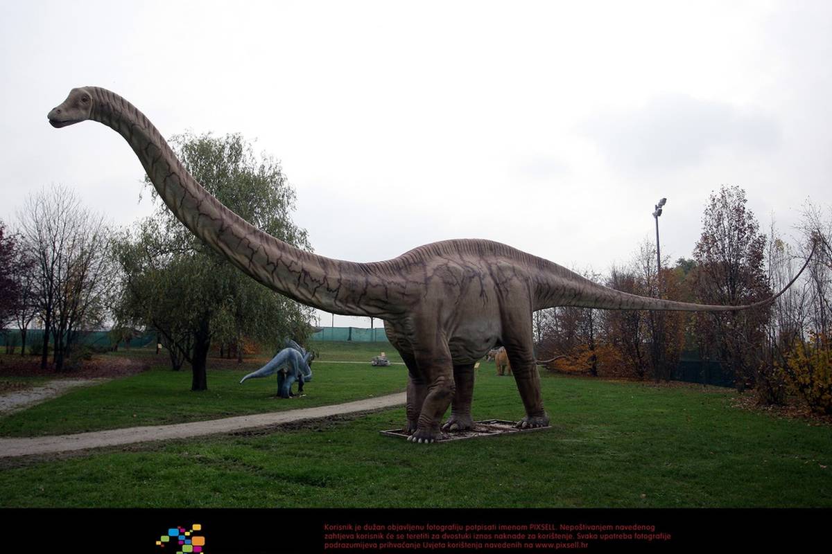 Dinosauri biljojedi jeli su lišće, a neki su gutali čak i stijene | 24sata